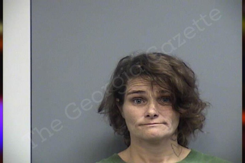 Victoria Sumner — Effingham County Jail Bookings