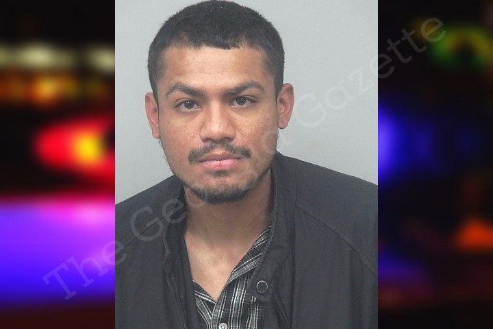 Luis Tapia-Alvarez — Gwinnett County Jail Bookings