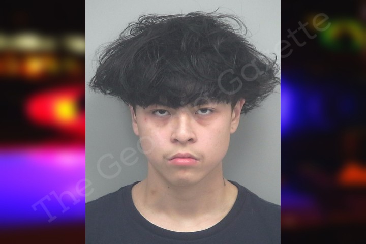 Ricky Tran — Gwinnett County Jail Bookings