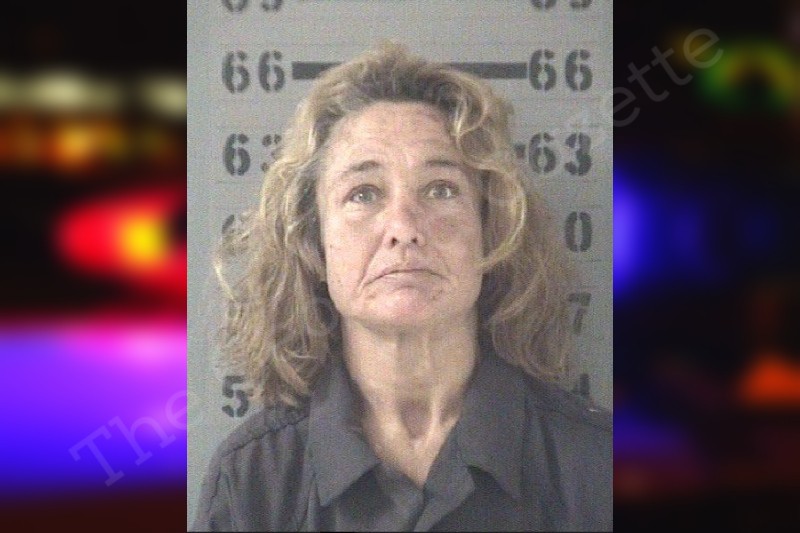 Tiffany Tackett — Dougherty County Jail Bookings