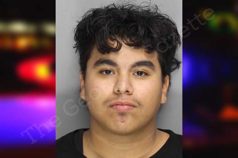 Anderson Villegas — Cobb County Jail Bookings