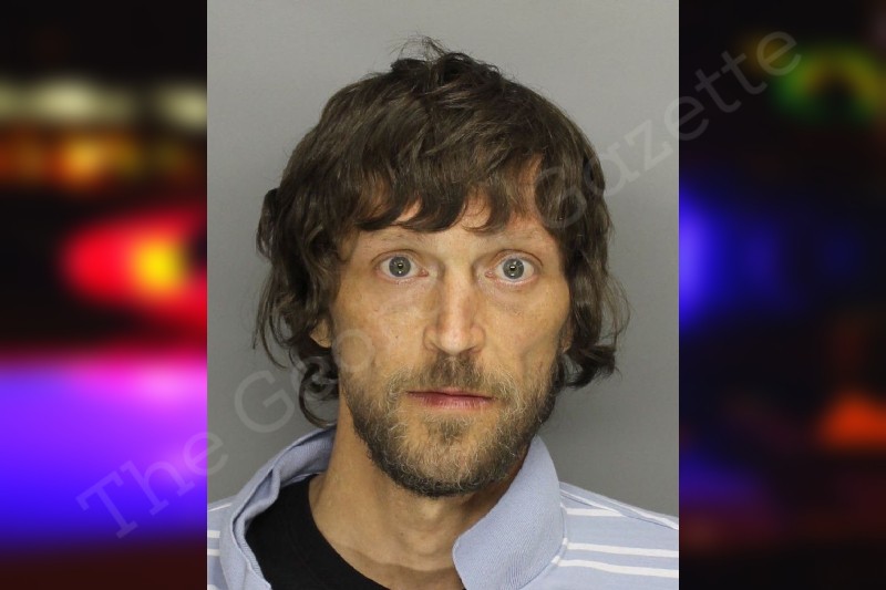 Stephen Vining — Cobb County Jail Bookings