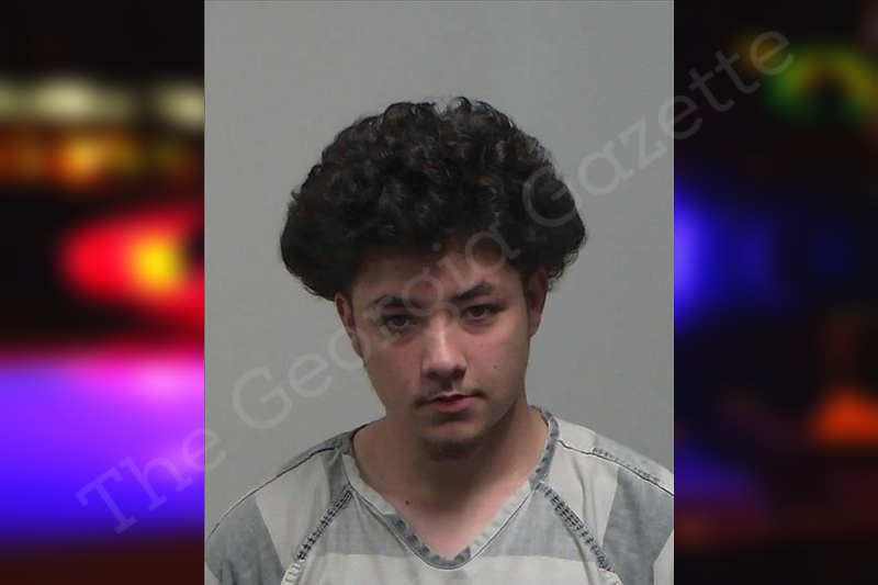 Christopher Vaughan | Tift County Jail Bookings