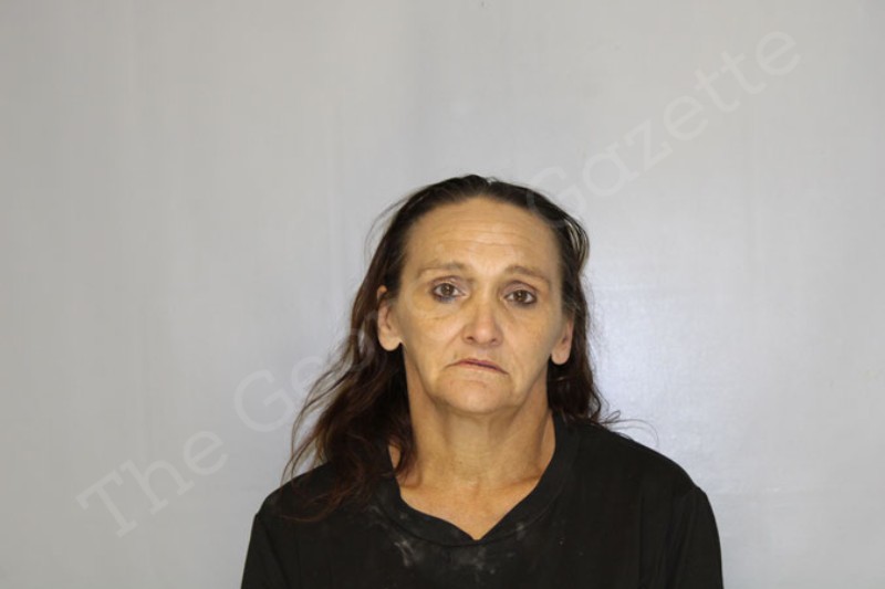 Ladora Wehunt — Hall County Jail Bookings Ladora Wehunt — Hall County Jail Bookings