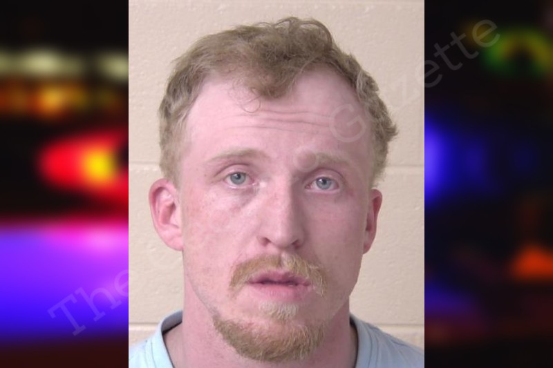 Alex Wallin — Walker County Jail Bookings