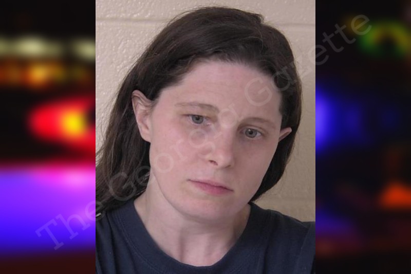 Jessica Watkins — Walker County Jail Bookings