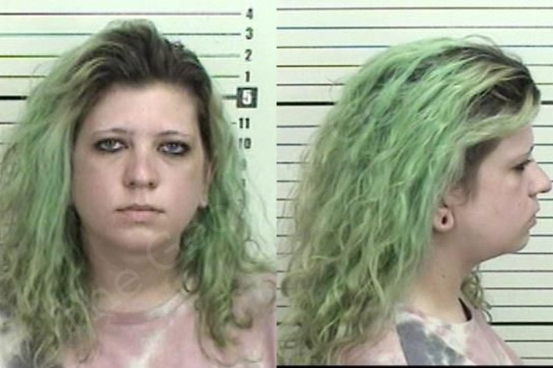 Ellen White — Camden County Jail Bookings Ellen White — Camden County Jail Bookings