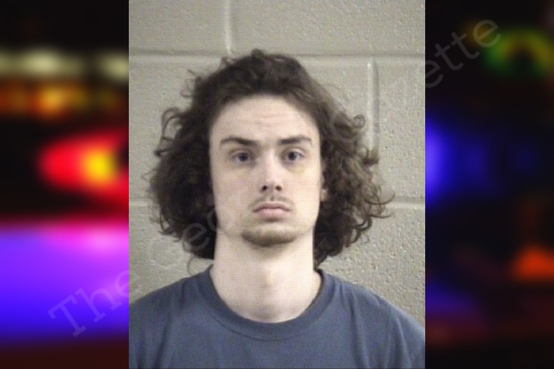 Alexander Willis — Whitfield County Jail Bookings