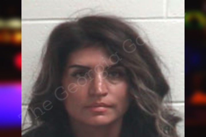 Tabitha Wilson — Henry County Jail Bookings