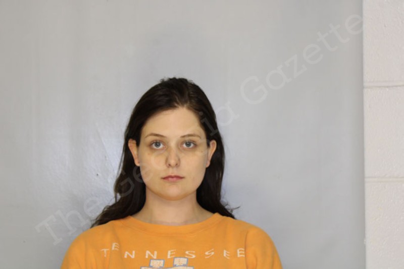 Tessa Alexander — Hall County Jail Bookings