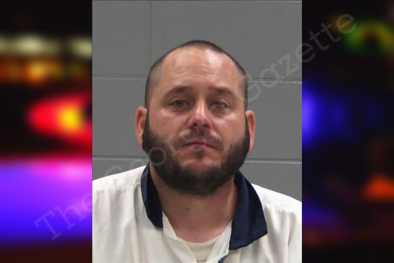 Mickey Alley — Baldwin County Jail Bookings