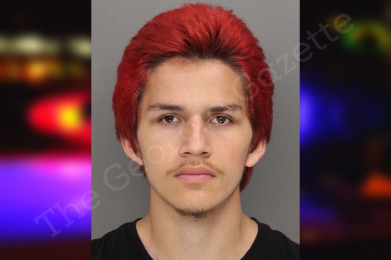 Luis Arnesen — Cobb County Jail Bookings