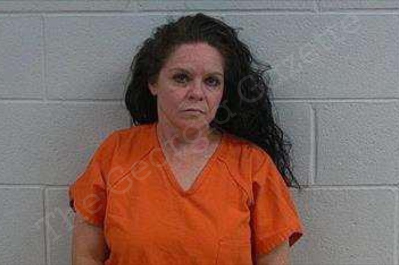 Amberly Adams — Polk County Jail Bookings