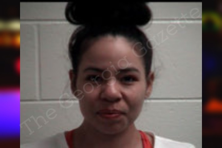 Chasity Allen | Henry County Jail Bookings