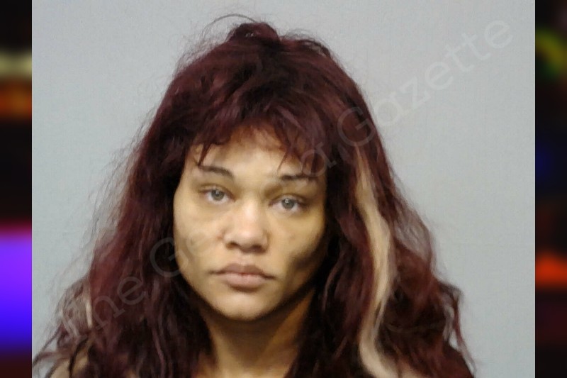 Ashley Block — Bibb County Jail Bookings