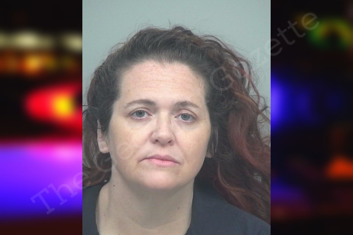 Allison Banegas — Gwinnett County Jail Bookings