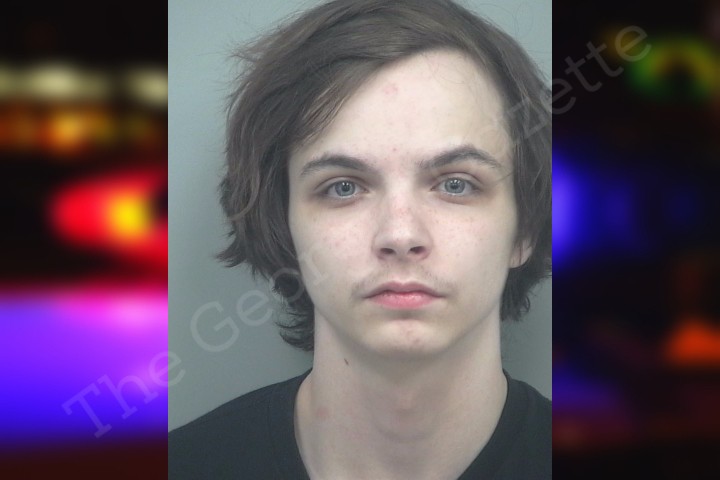 Luke Boggs — Gwinnett County Jail Bookings