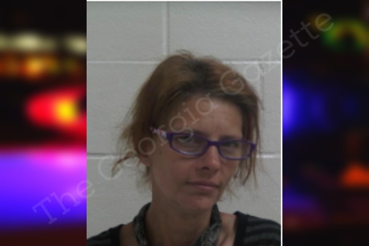 Lynn Bryan — Decatur County Jail Bookings