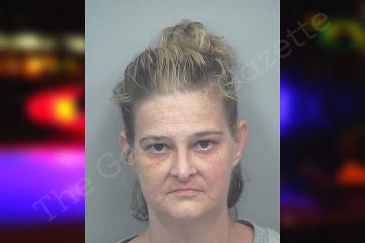 Jennifer Bryant — Gwinnett County Jail Bookings