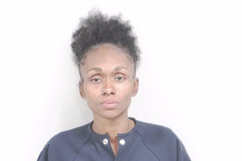 Meleka Burrows — Lowndes County Jail Bookings