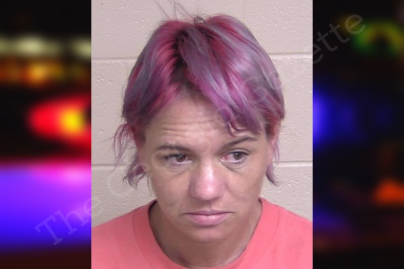 Ashley Bowman — Walker County Jail Bookings