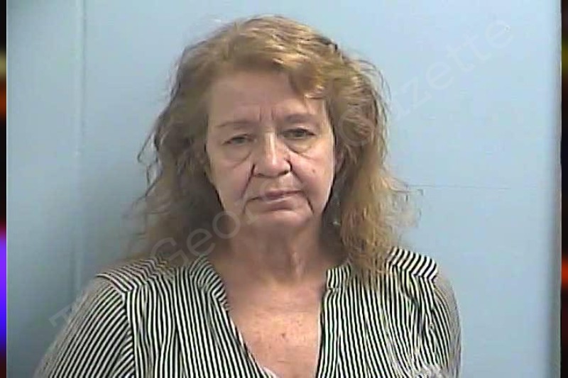 Vicky Brumfield — Dawson County Jail Bookings