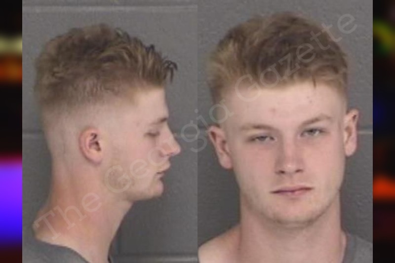 Sean Burgess — Barrow County Jail Bookings