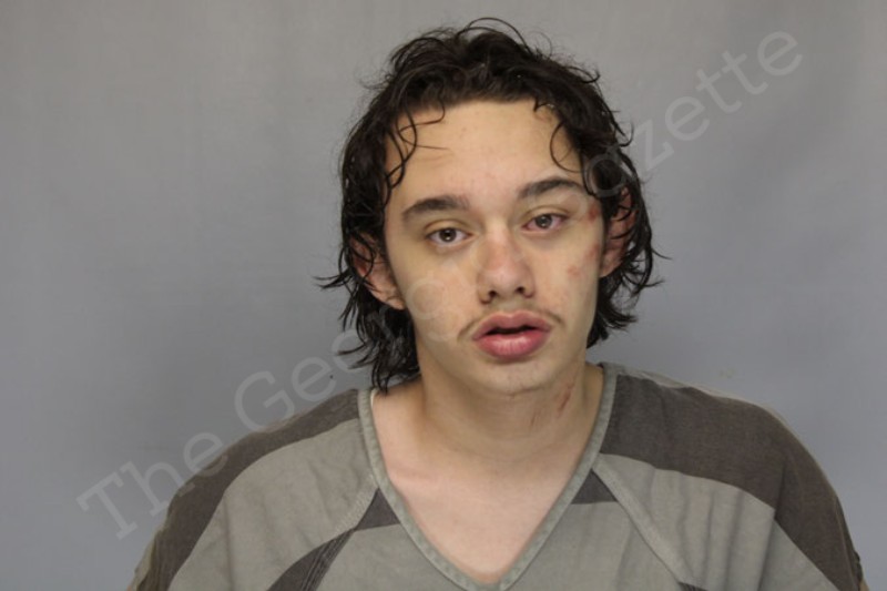 Alan Cannon — Hall County Jail Bookings