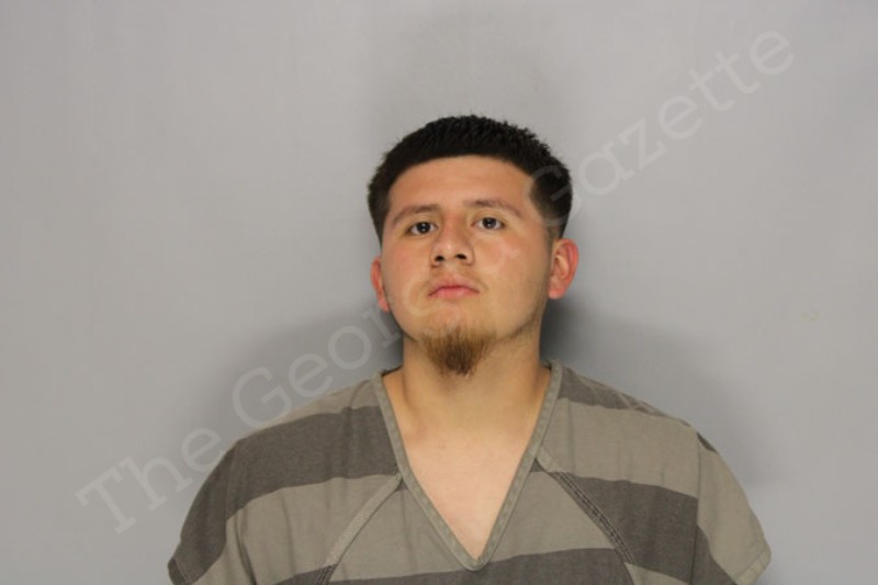 Angel Castillo | Hall County