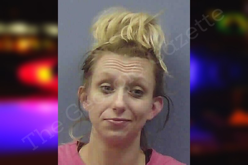 Jessica Crowder | Chattooga County Jail Bookings