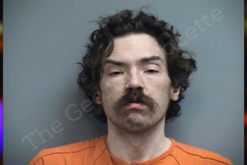 Jonathan Chanson — Effingham County Jail Bookings