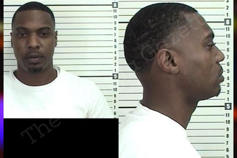 Stayce Cheek — Camden County Jail Bookings
