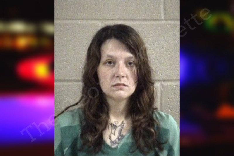 Morgan Cleland — Whitfield County Jail Bookings