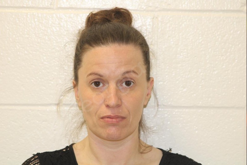 Ashly Davis — Jones County Jail Bookings