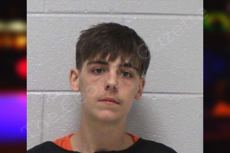 Dakota Deese — Carroll County Jail Bookings
