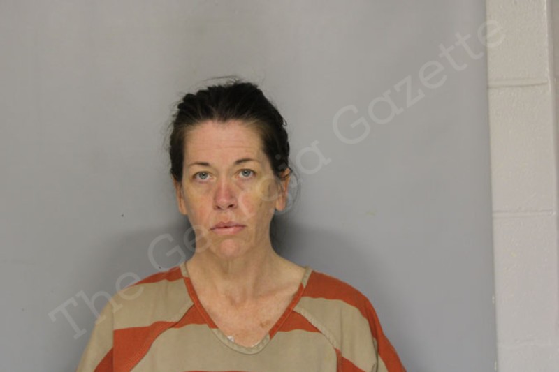 Wendi Dover — Hall County Jail Bookings