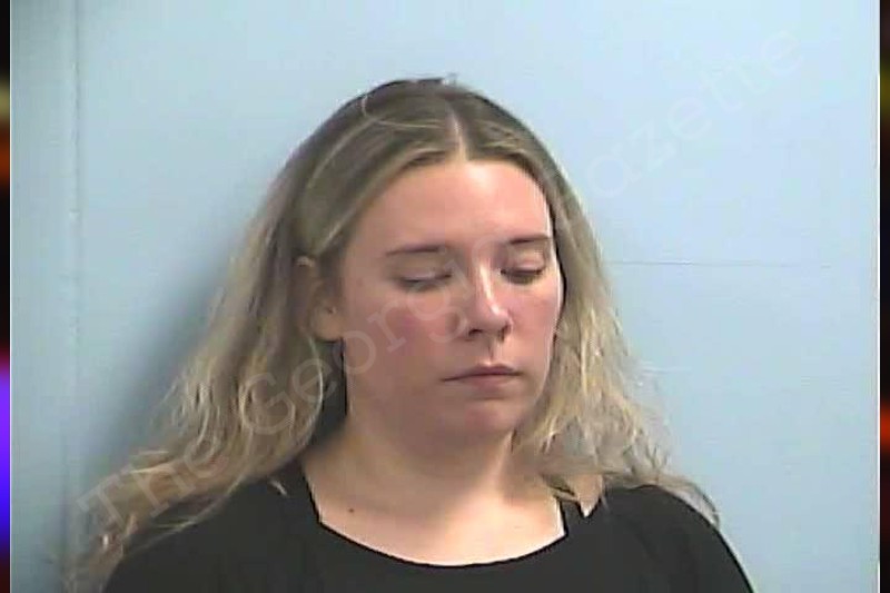 Taylor Desalvo — Dawson County Jail Bookings