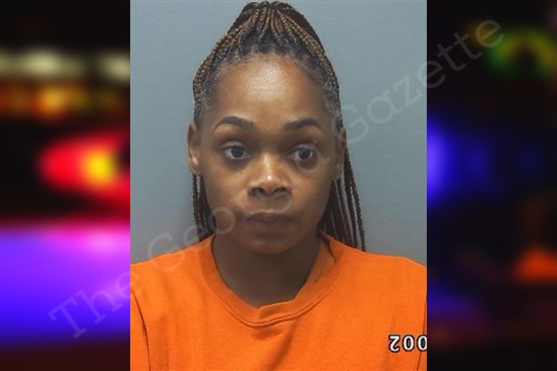Shakera Ellis — Cherokee County Jail Bookings