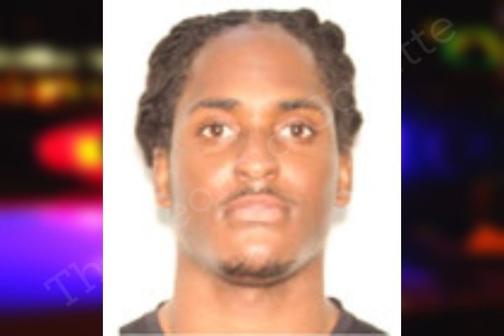 Theron Ellis — Henry County Jail Bookings