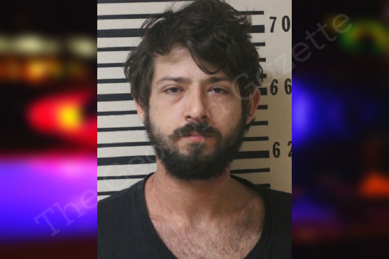 Danny Ensch — Toombs County Jail Bookings