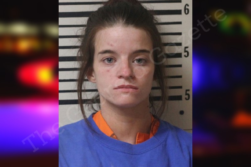 Mackenzie Evans — Toombs County Jail Bookings