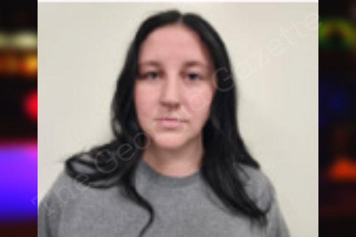 Abigail Erickson — Henry County Jail Bookings