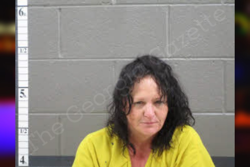 Lisa Lambert — Banks County Jail Bookings