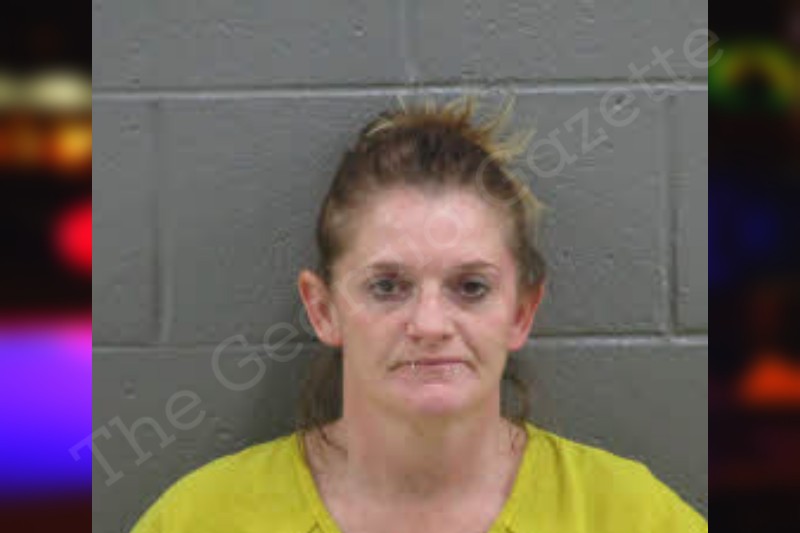 Ginger Whitlock — Banks County Jail Bookings