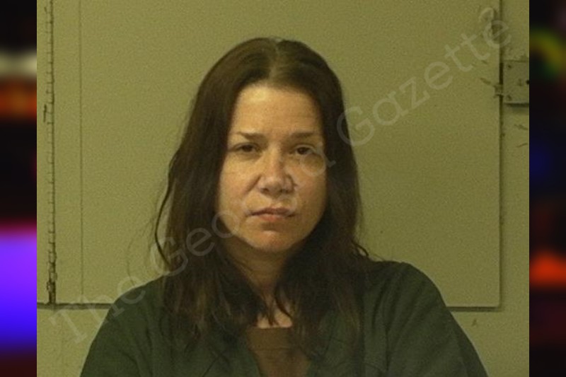 Christina Gallo — McIntosh County Jail Bookings