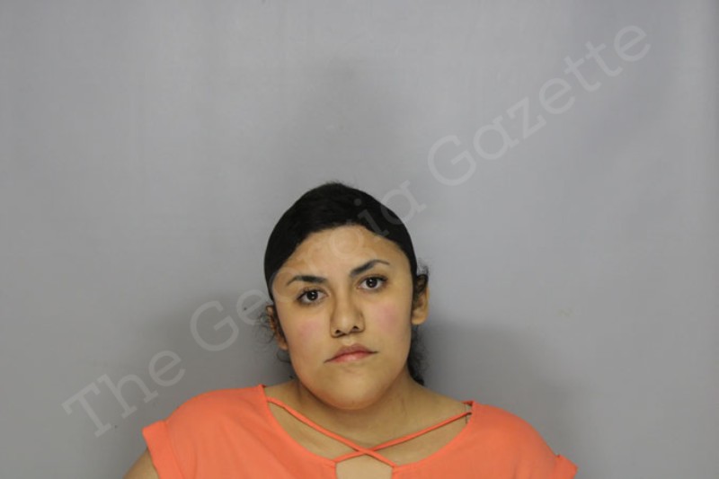 Lisette Garcia — Hall County Jail Bookings