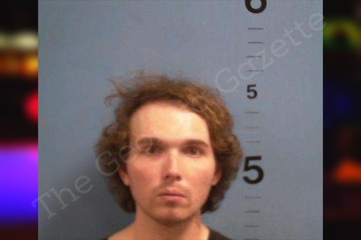 Sydney Gillis — Monroe County Jail Bookings