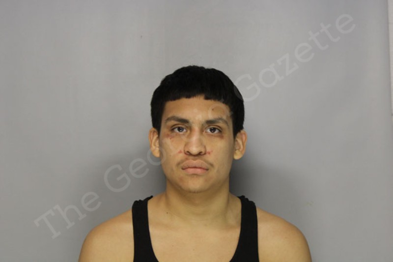 Bryan Guzman — Hall County Jail Bookings