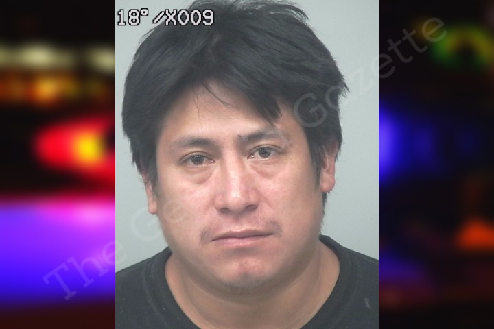 Mauricio Guzman — Gwinnett County