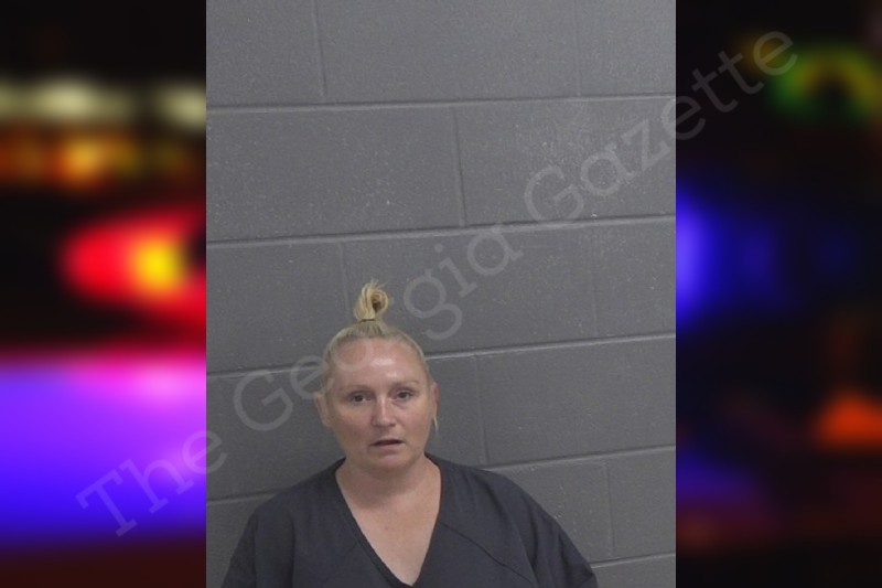 Christy Garner — Spalding County Jail Bookings